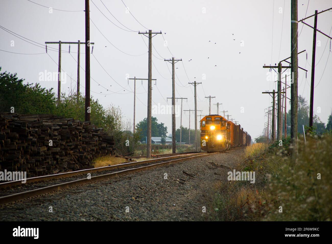 Log train hi-res stock photography and images - Alamy