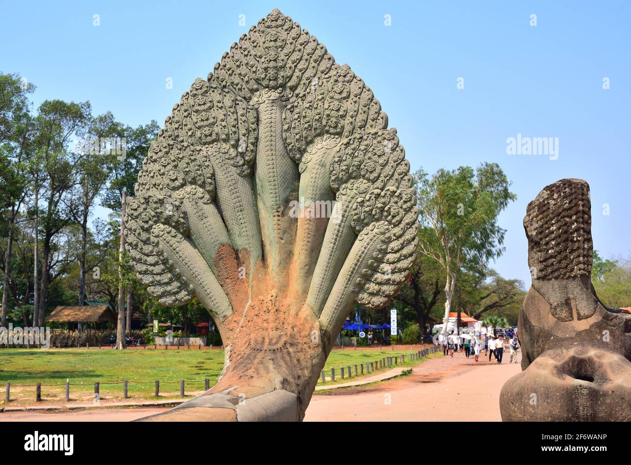 Seven Headed High Resolution Stock Photography and Images - Alamy