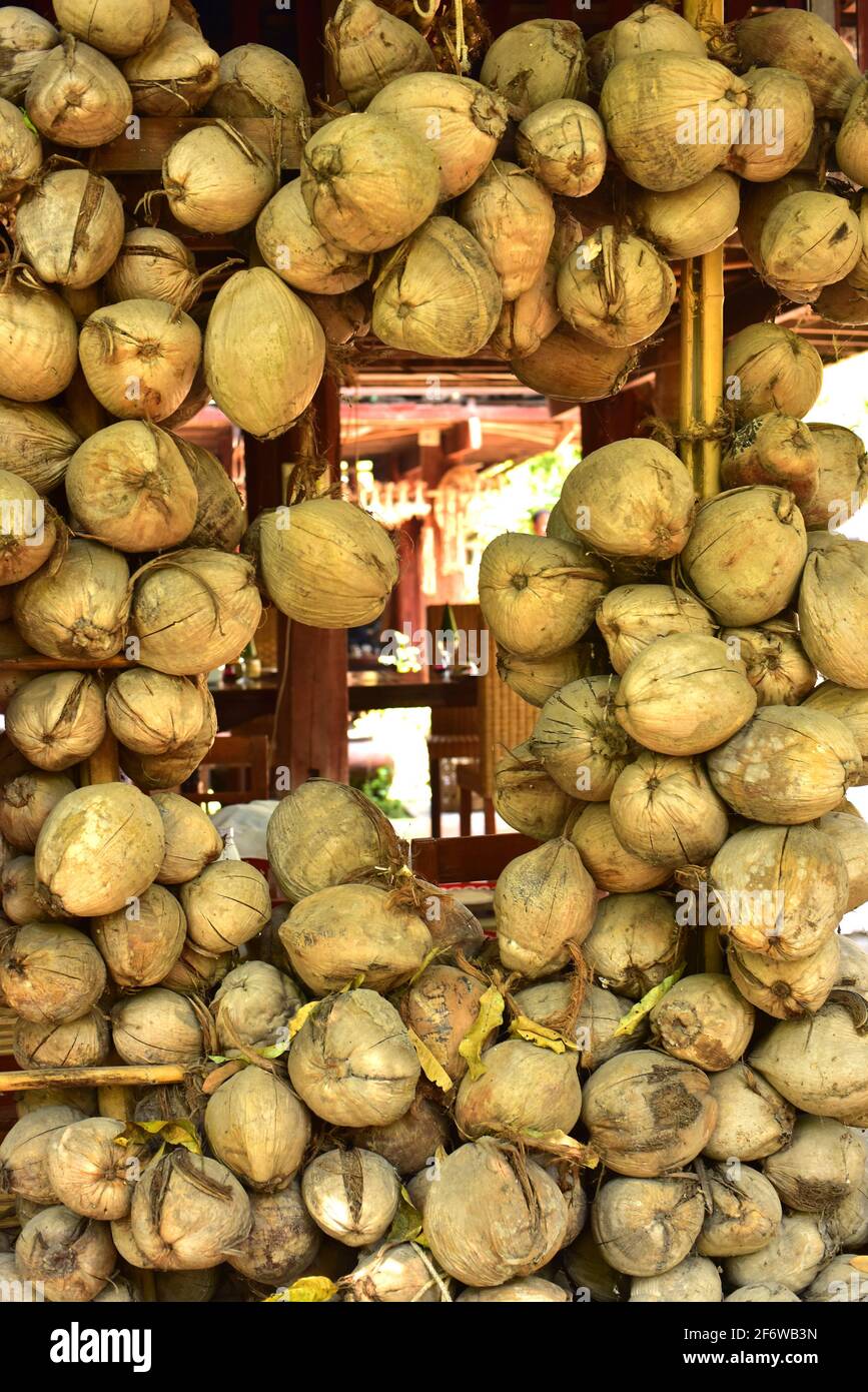 Asia coconut hi-res stock photography and images - Alamy