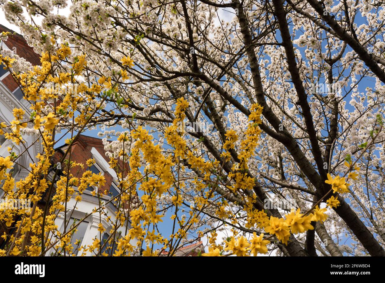 Spring in england hi-res stock photography and images - Alamy