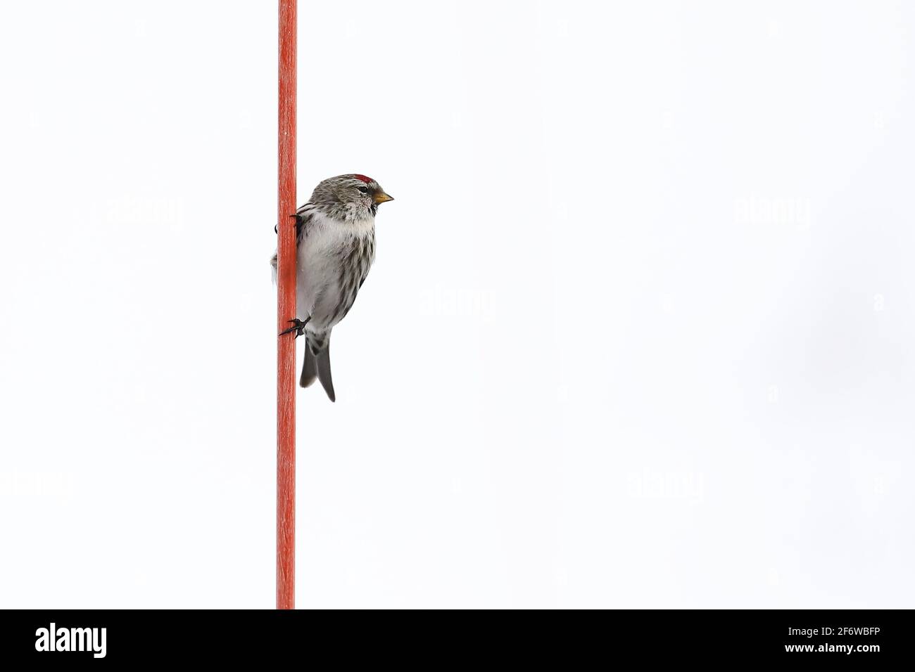 Red and white pole hi-res stock photography and images - Alamy
