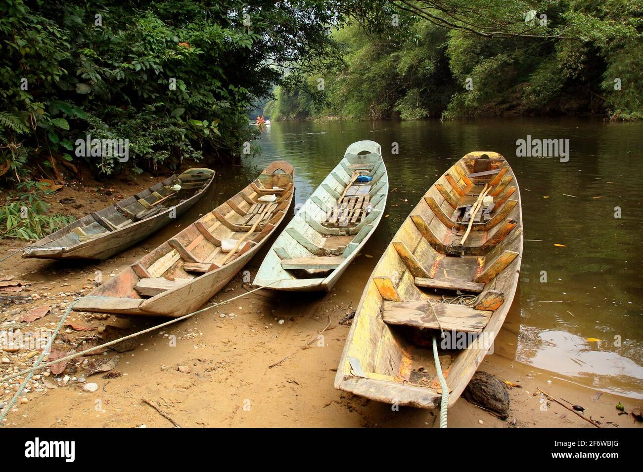 Padawan kuching hi-res stock photography and images - Alamy