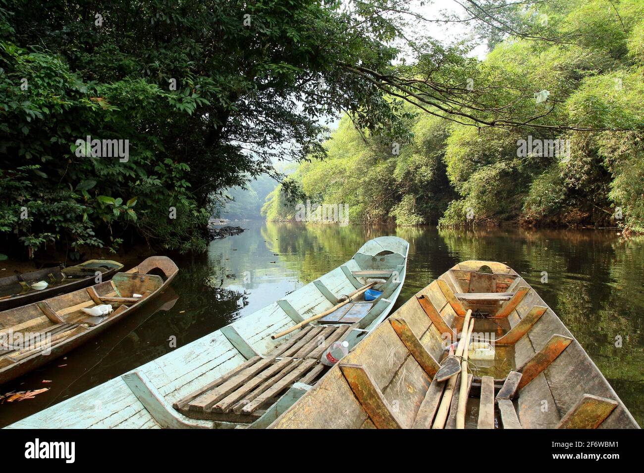 Padawan kuching hi-res stock photography and images - Alamy