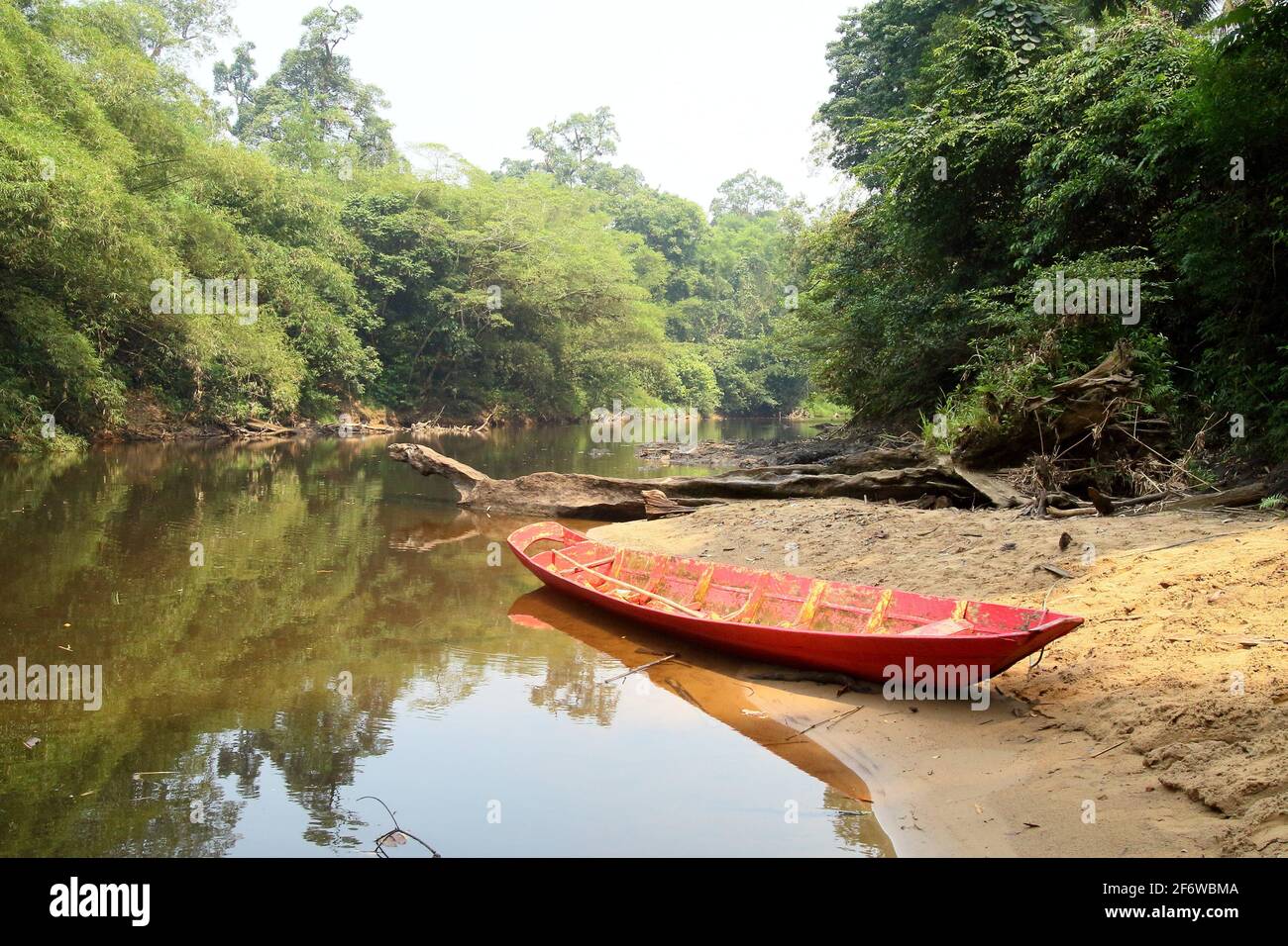 Padawan kuching hi-res stock photography and images - Alamy