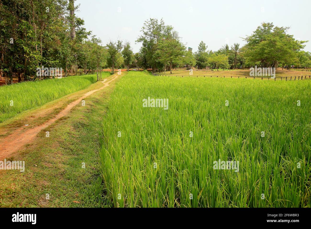 National Food Of Cambodia High Resolution Stock Photography and Images ...