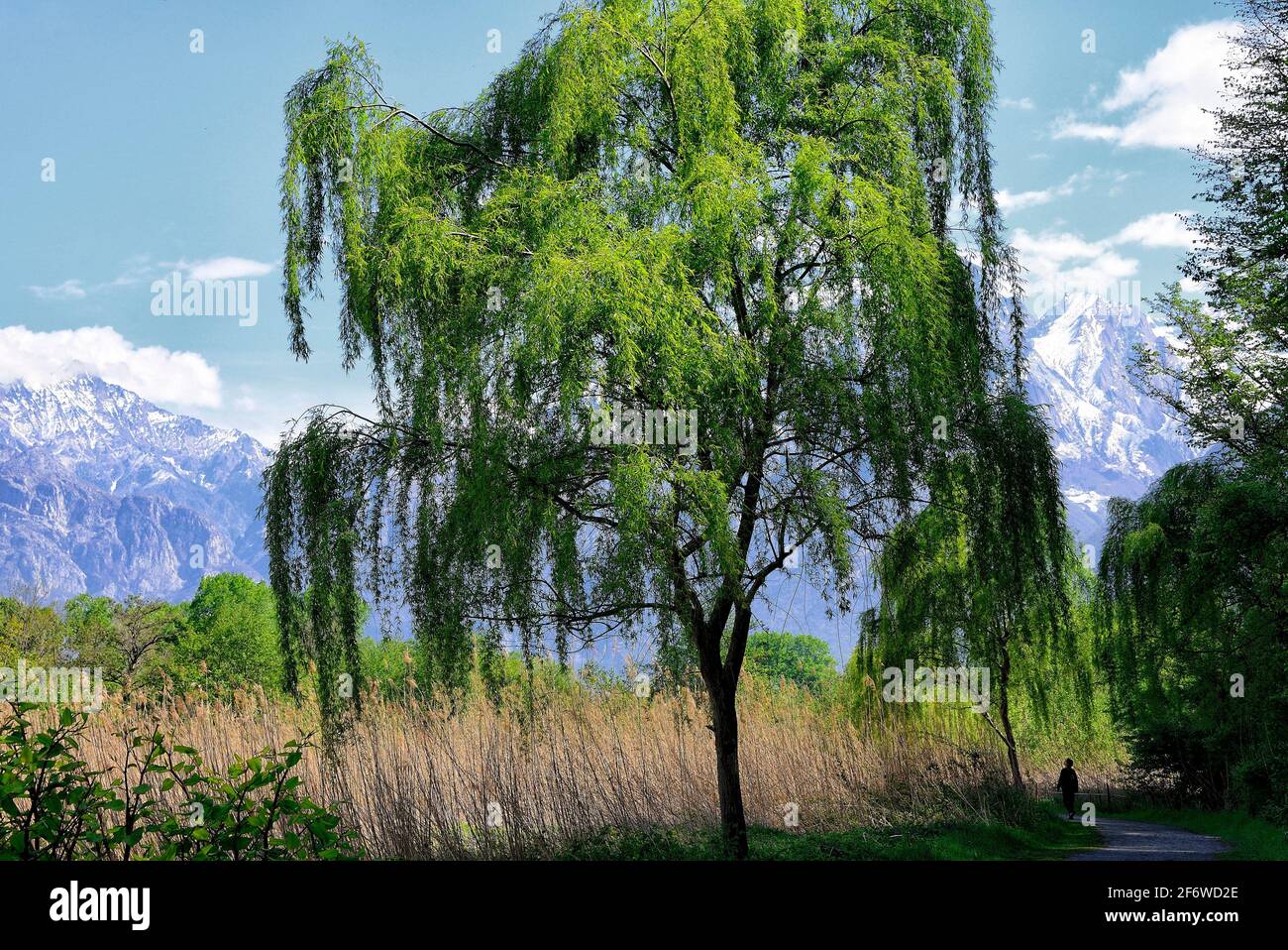 Colico lombardy hi-res stock photography and images - Alamy