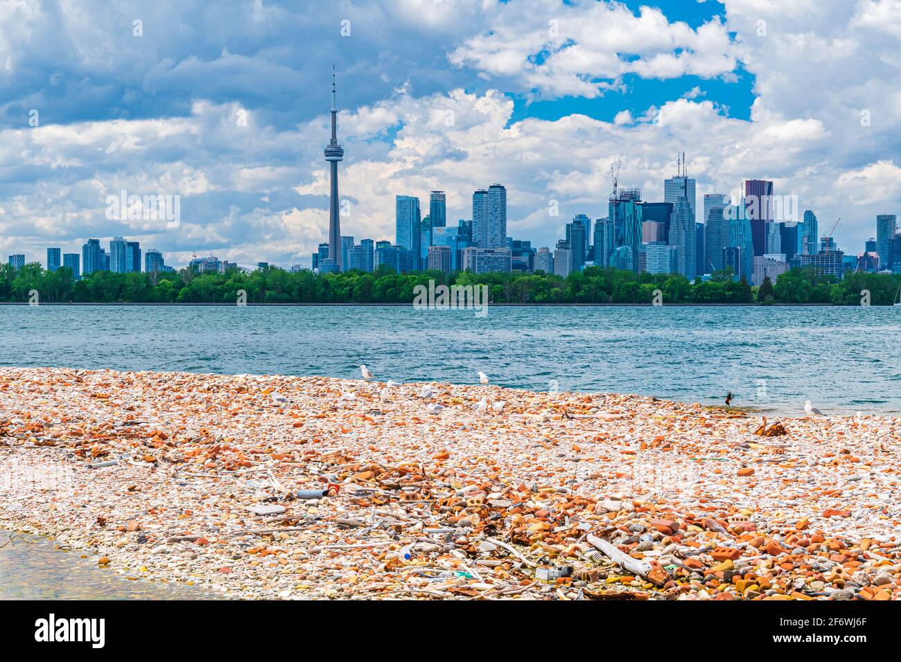 Lake Ontario showing Skyline view of Toronto shoreline in Summer Stock ...