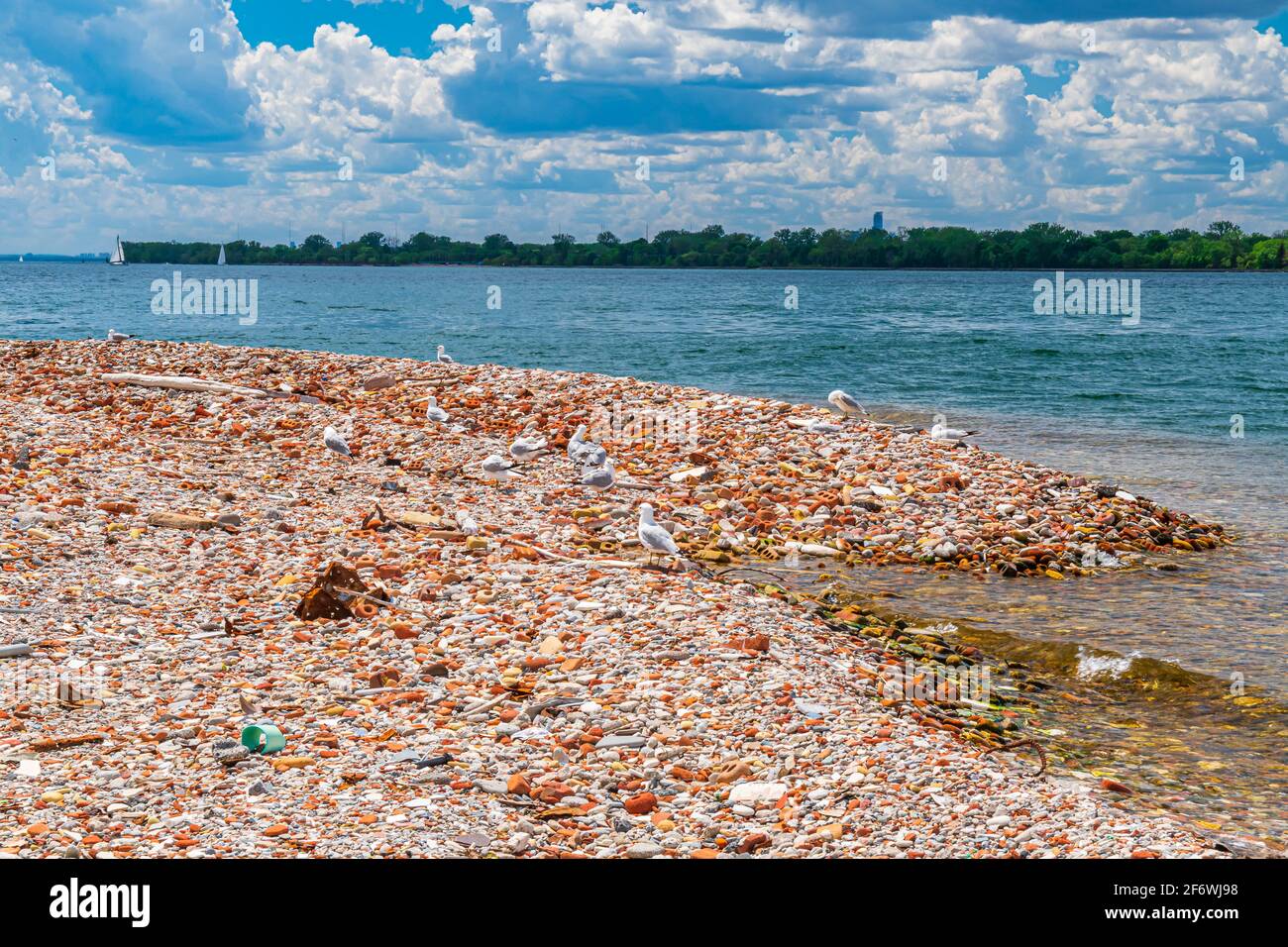 Lake Ontario showing Skyline view of Toronto shoreline in Summer Stock ...