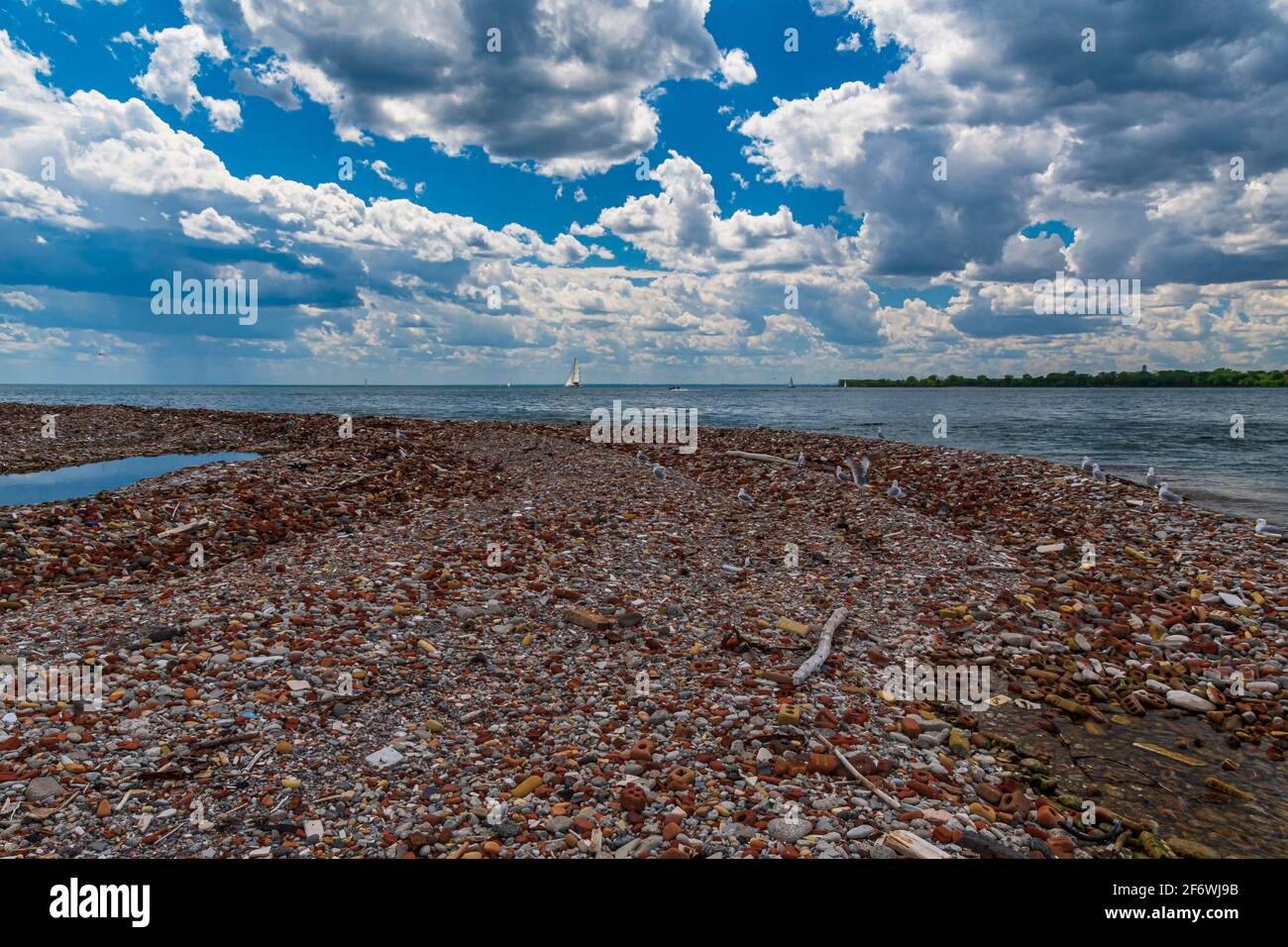 Lake Ontario showing Skyline view of Toronto shoreline in Summer Stock ...