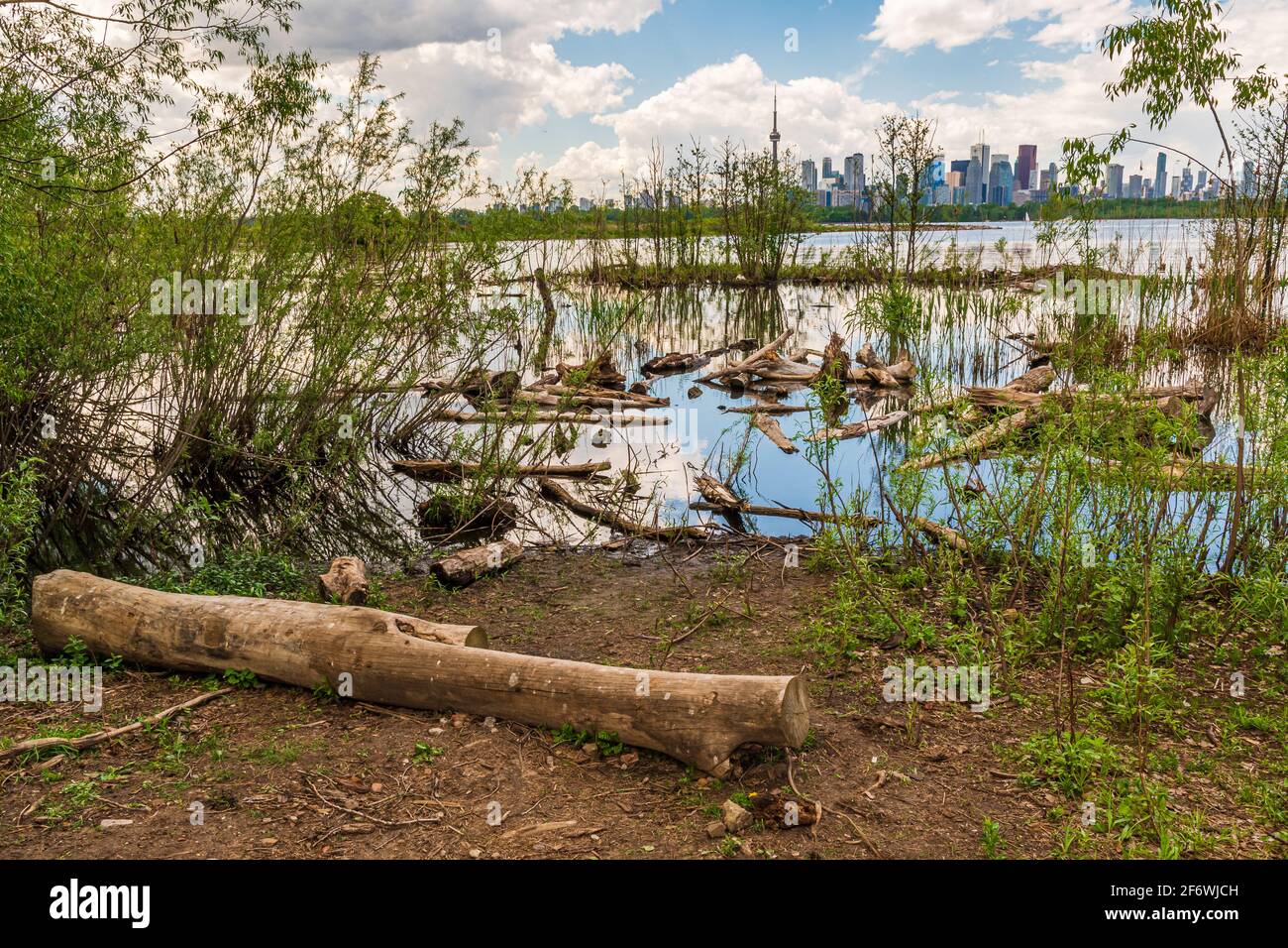 Canadian wetlands hi-res stock photography and images - Alamy