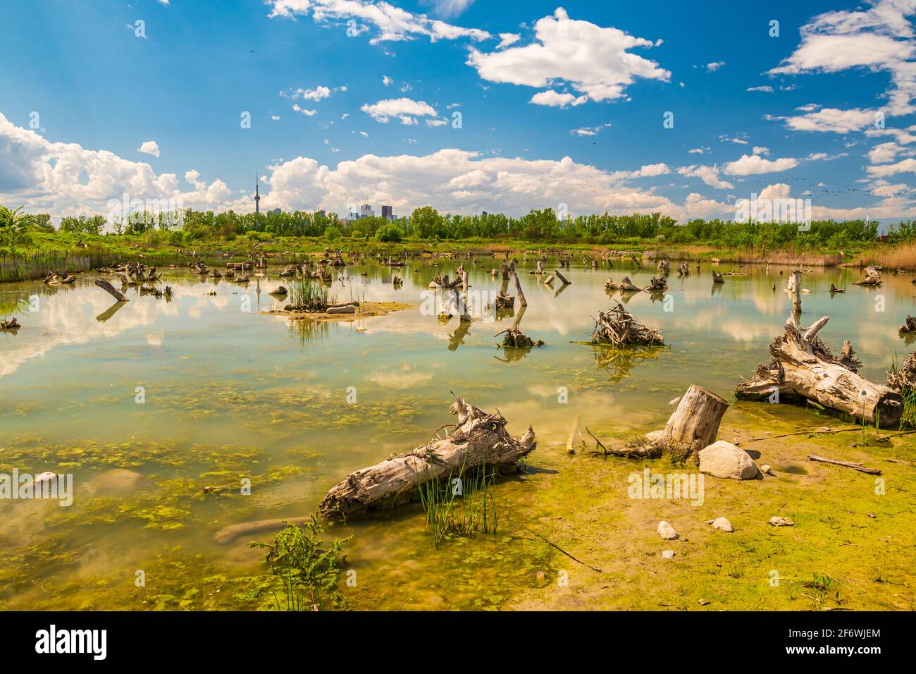 Canadian wetlands hi-res stock photography and images - Alamy