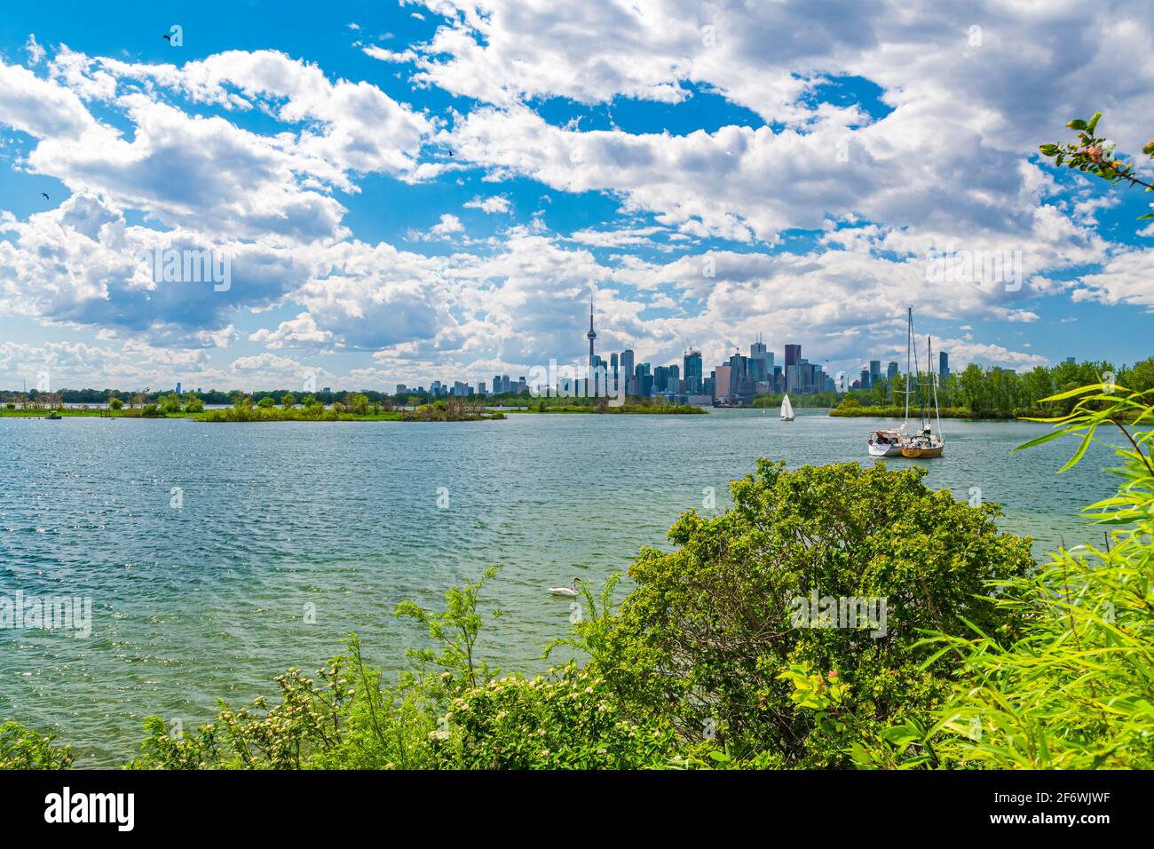 Lake Ontario showing Skyline view of Toronto shoreline in Summer Stock ...