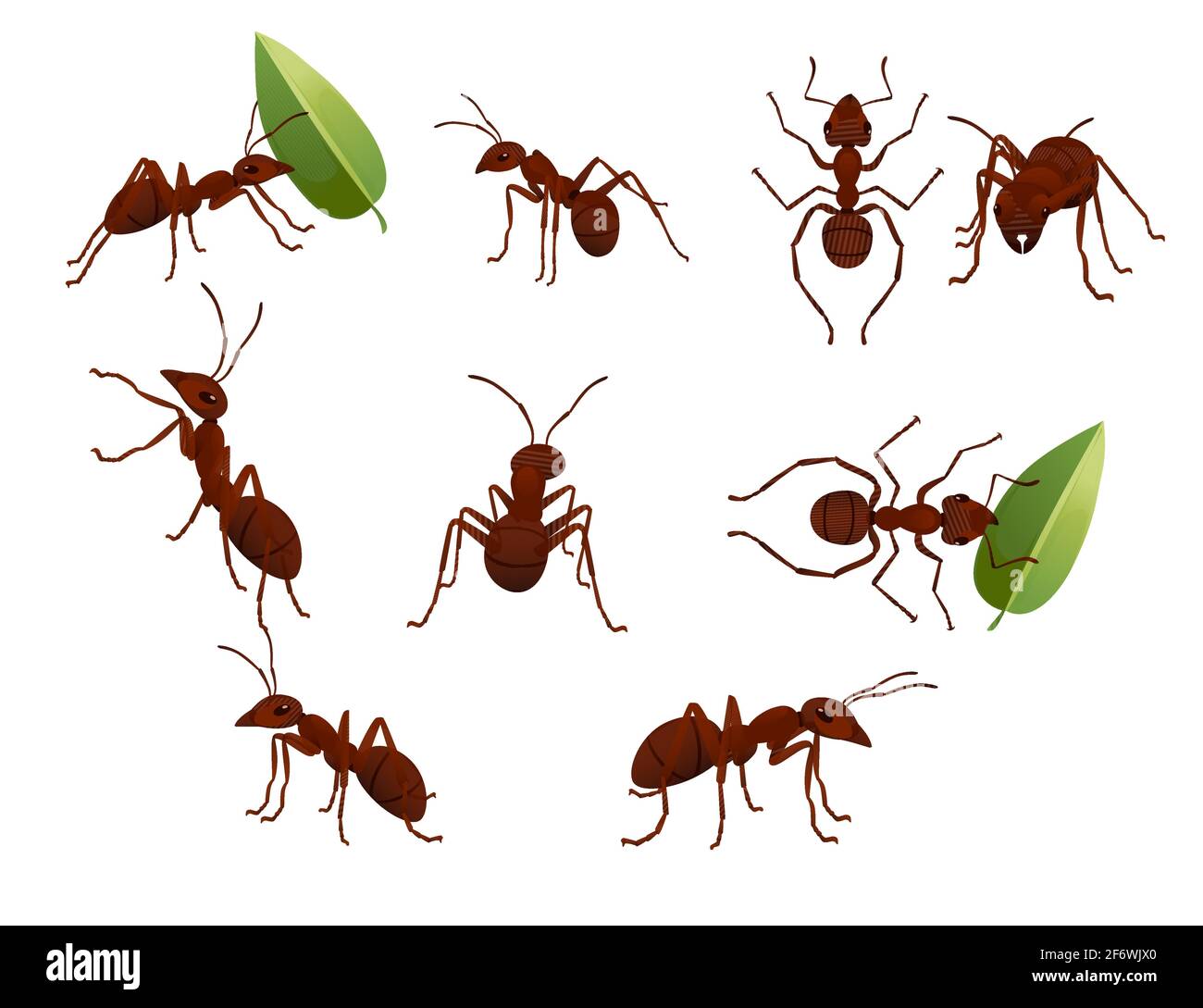 Set of cute brown ant holding a green leaf cartoon bug animal design ...