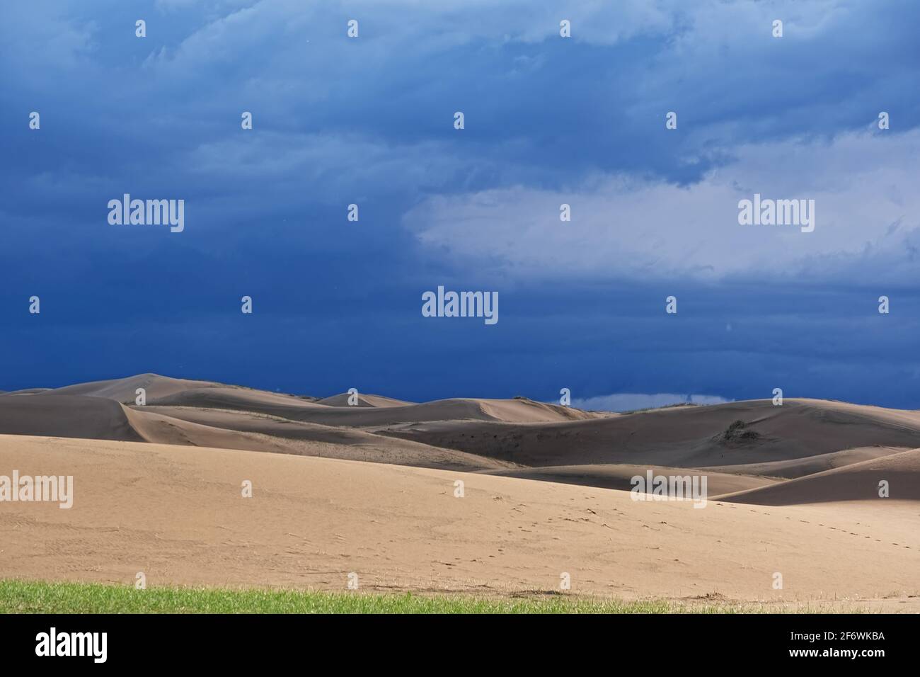 Barkhans in Mongolia. Sandy dune desert Mongol Els near lake Durgen ...