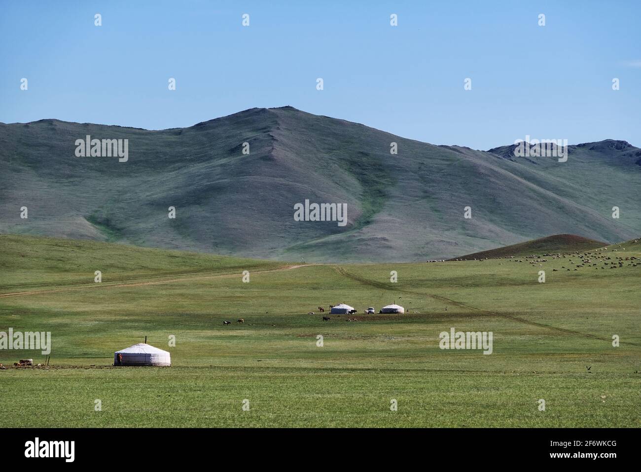 Mongolian landscape with mountain steppe with ger and herd of horses ...