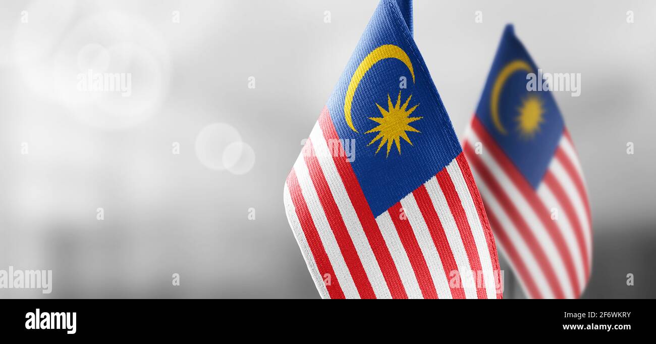 slogan merdeka ke 62 - Michael Nolan