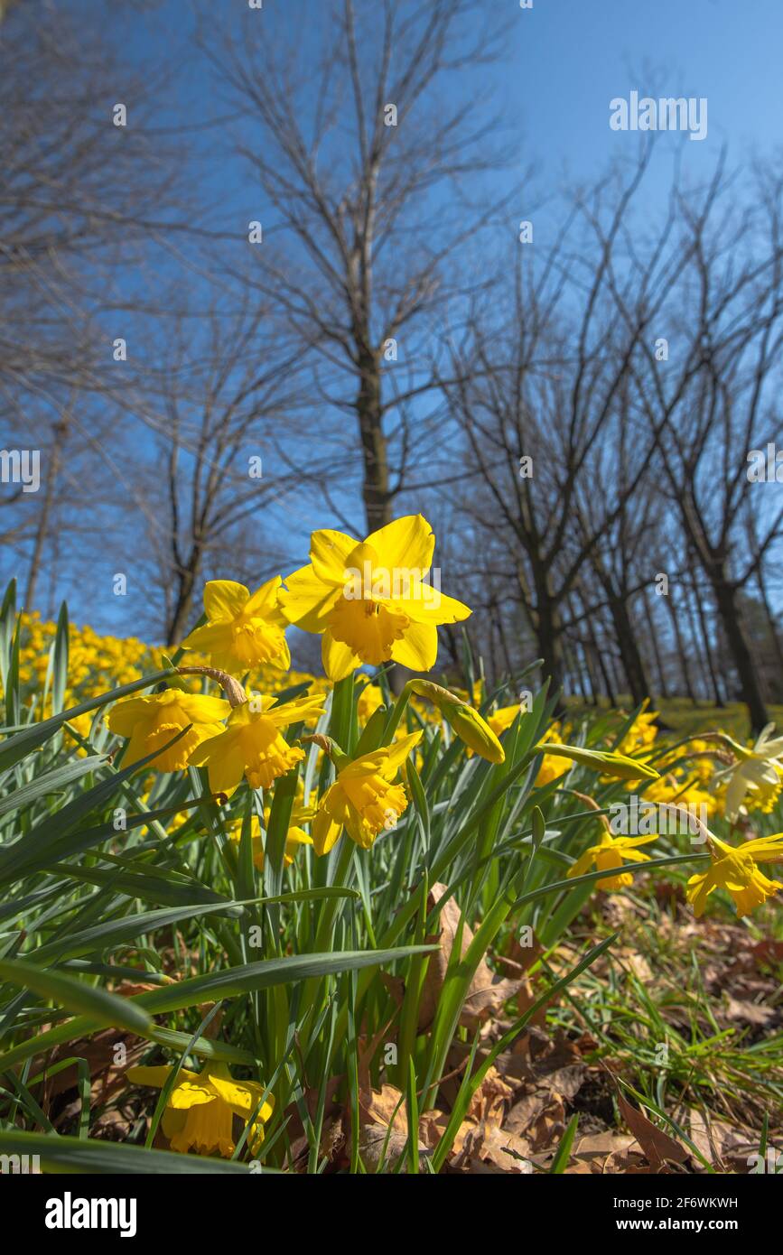 Key hill cemetery hi-res stock photography and images - Alamy