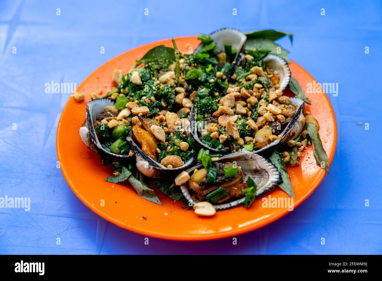 Vietnam clam hi-res stock photography and images - Alamy