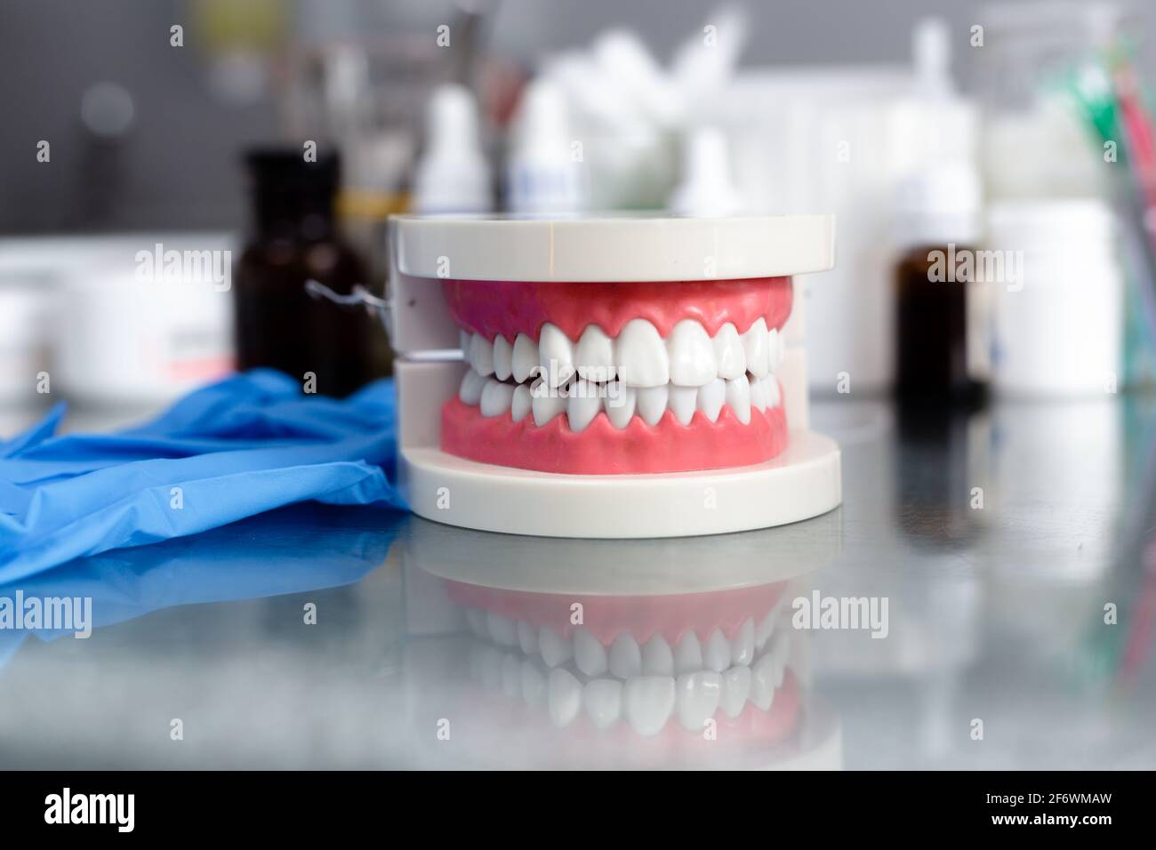 Mock up jaw with teeth on table in dental office Stock Photo - Alamy