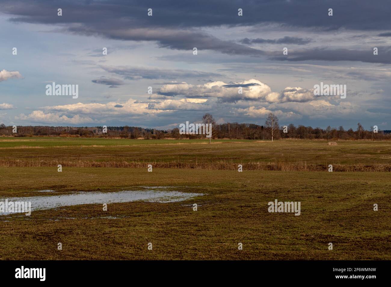 beautiful flat spring landscape with puddle on meadow after melted snow ...