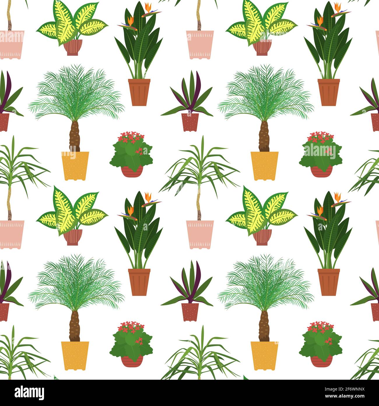 Fig tree pot Stock Vector Images - Alamy