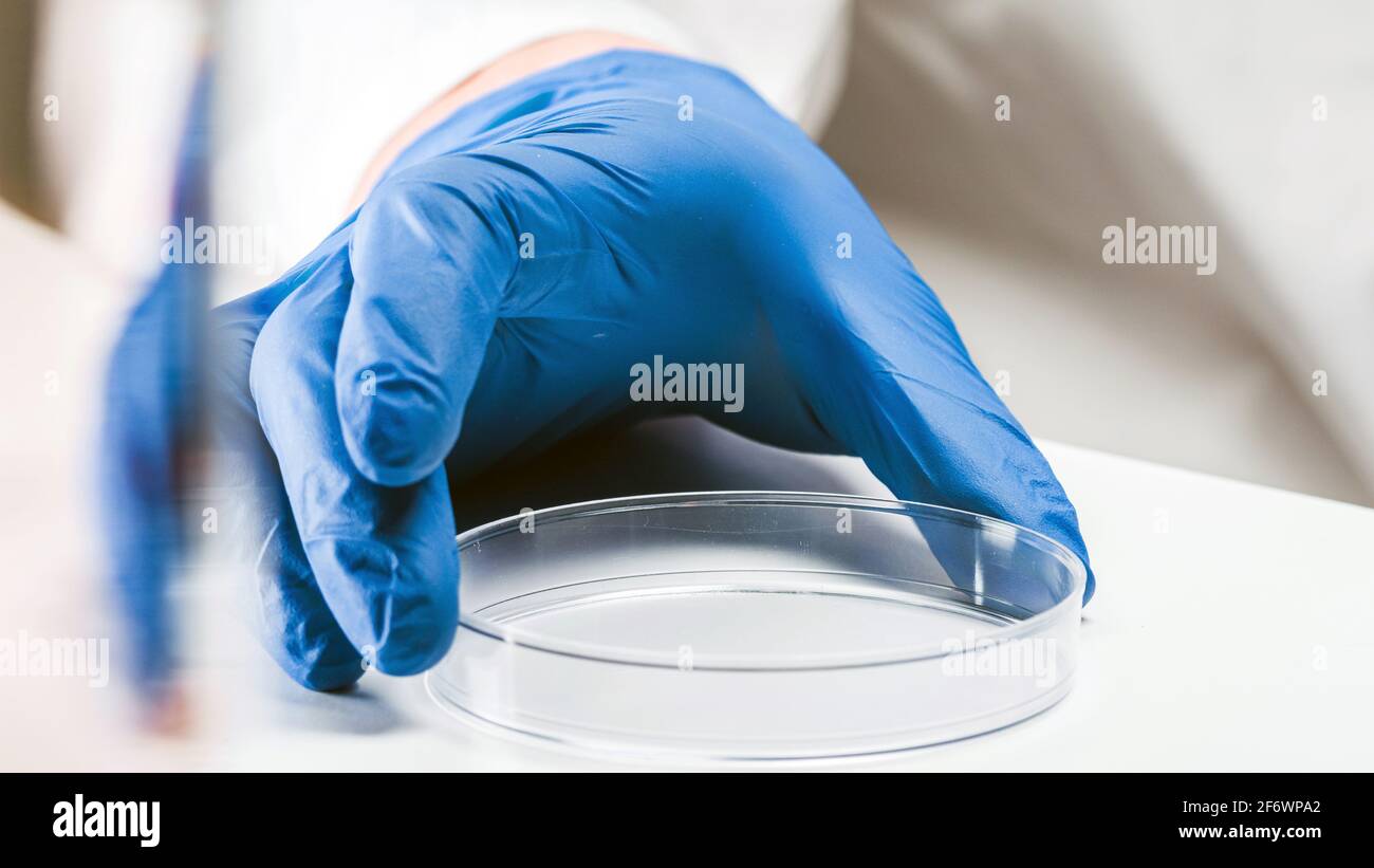 Microbiology laboratory hi-res stock photography and images - Alamy