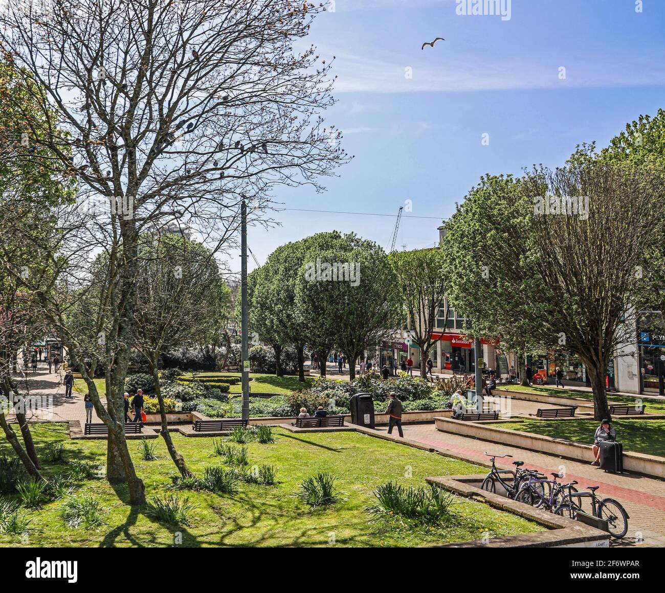 Armada way plymouth tree hi-res stock photography and images - Alamy