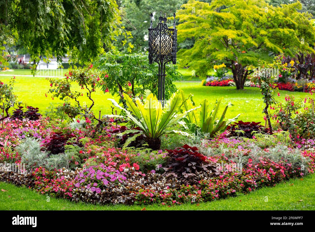 Various plants and flowers on Stadtgarten / Stadt garden in Lindau ...