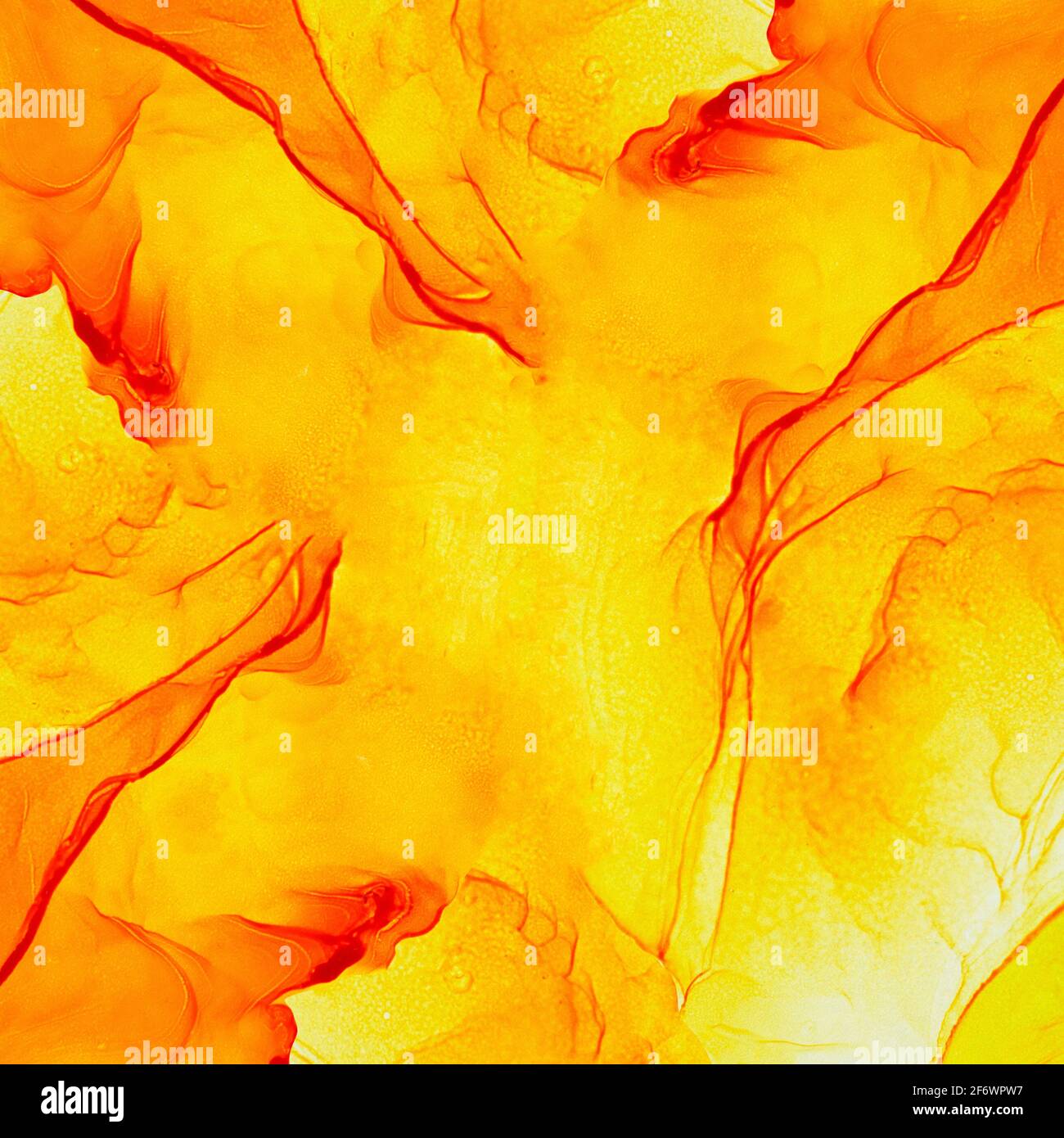 Alcohol ink air texture. Yellow, orange abstract background with golden ...