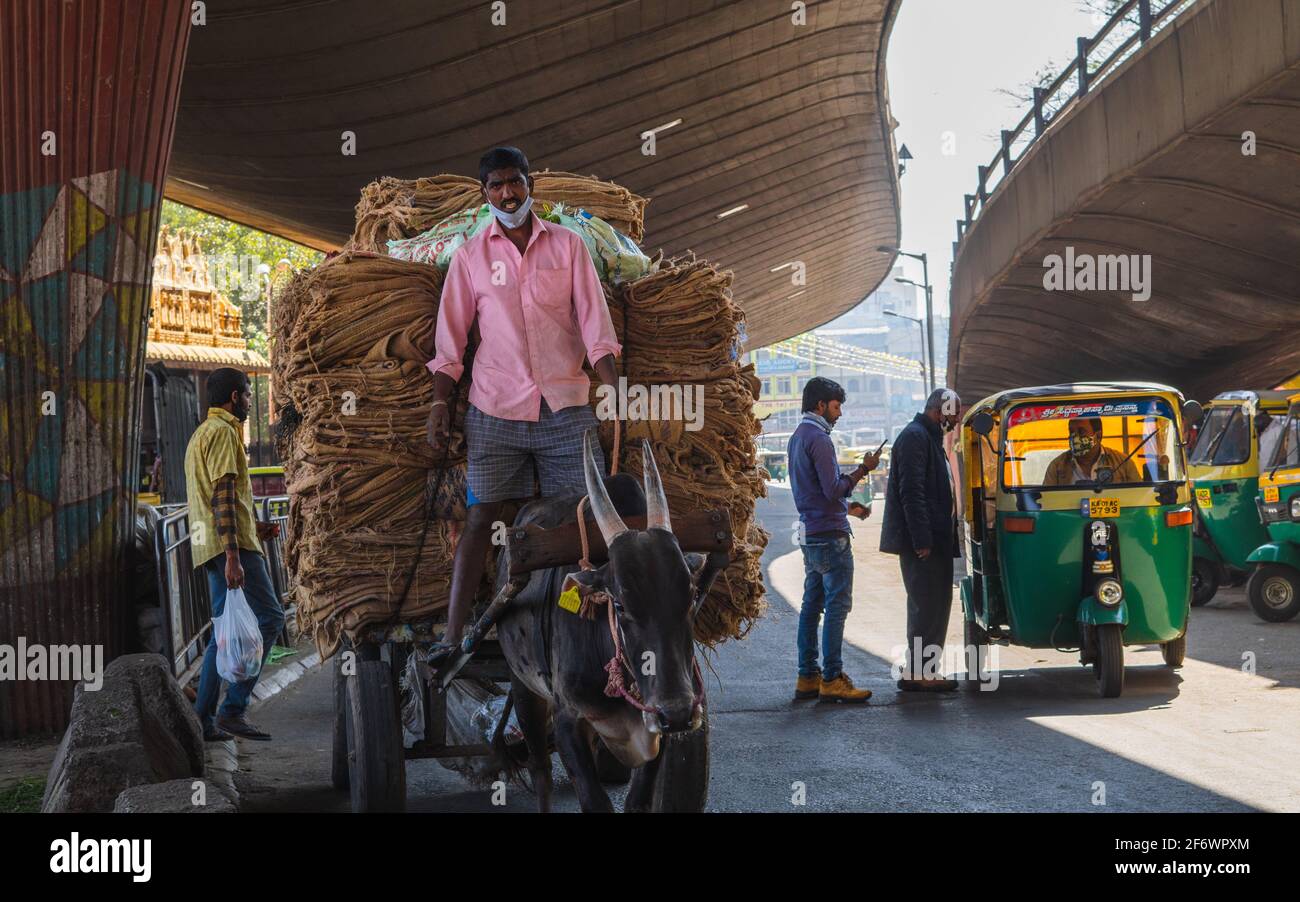 K.R.Market, Bangalore, India - February 06,2021: Bullock cart riding in ...