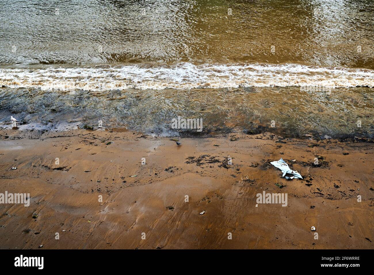 Bank of a river with stones hi-res stock photography and images - Alamy