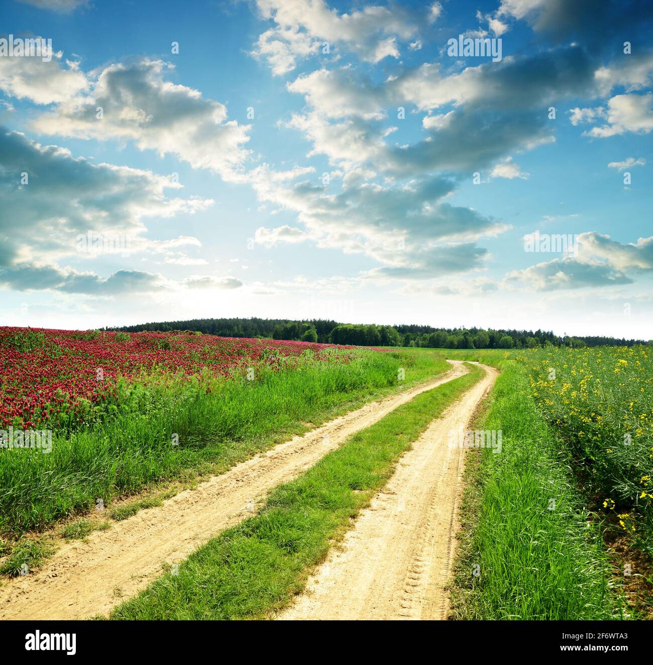 Landscape dirt road hi-res stock photography and images - Alamy
