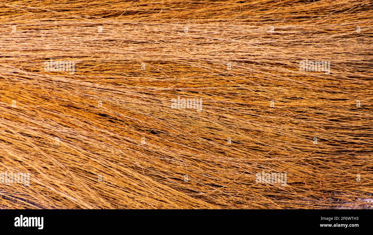 Seamless texture fibers hi-res stock photography and images - Alamy