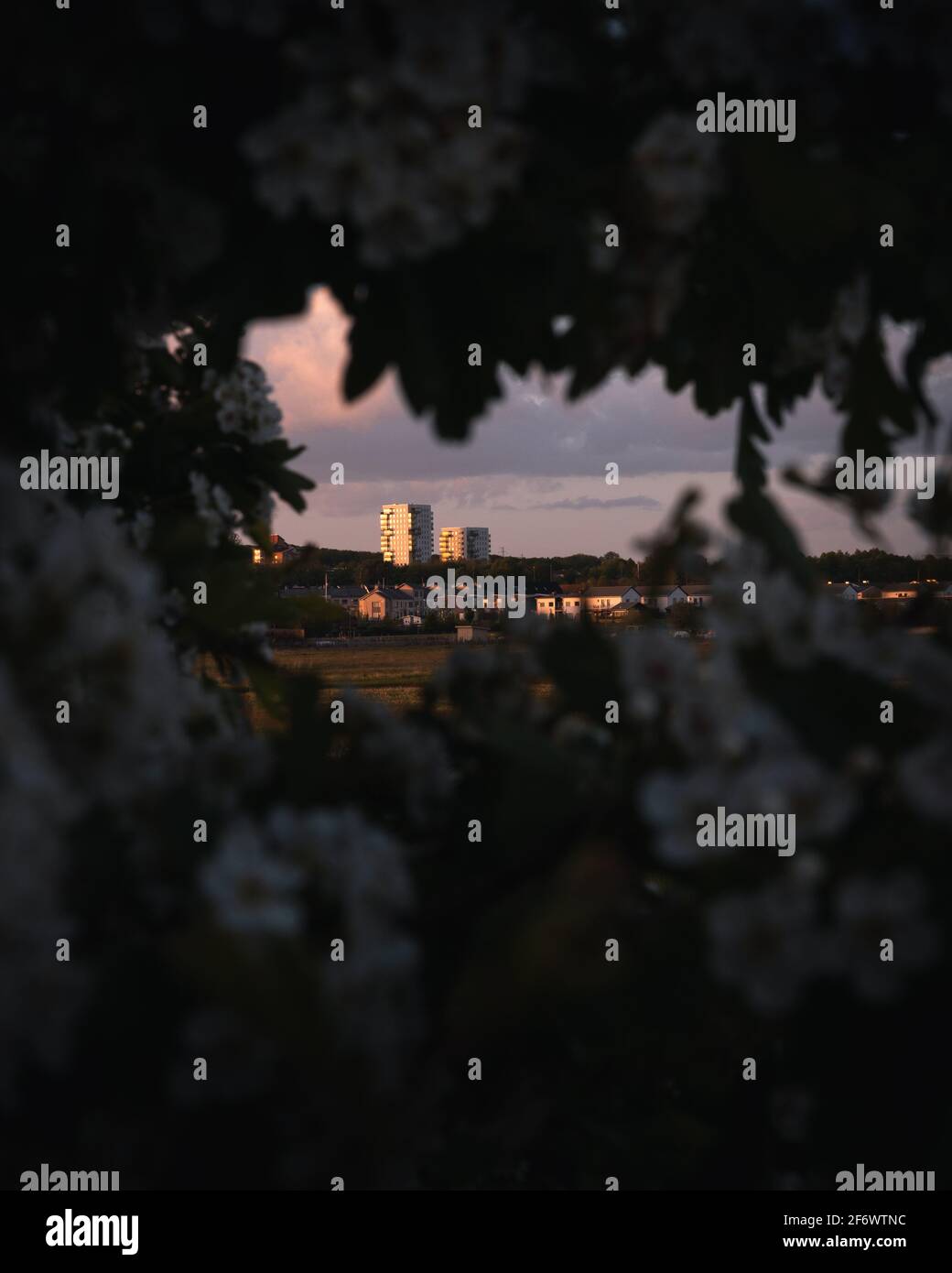 Skyscrapers and suburbs in Lund Sweden during summer seen through ...