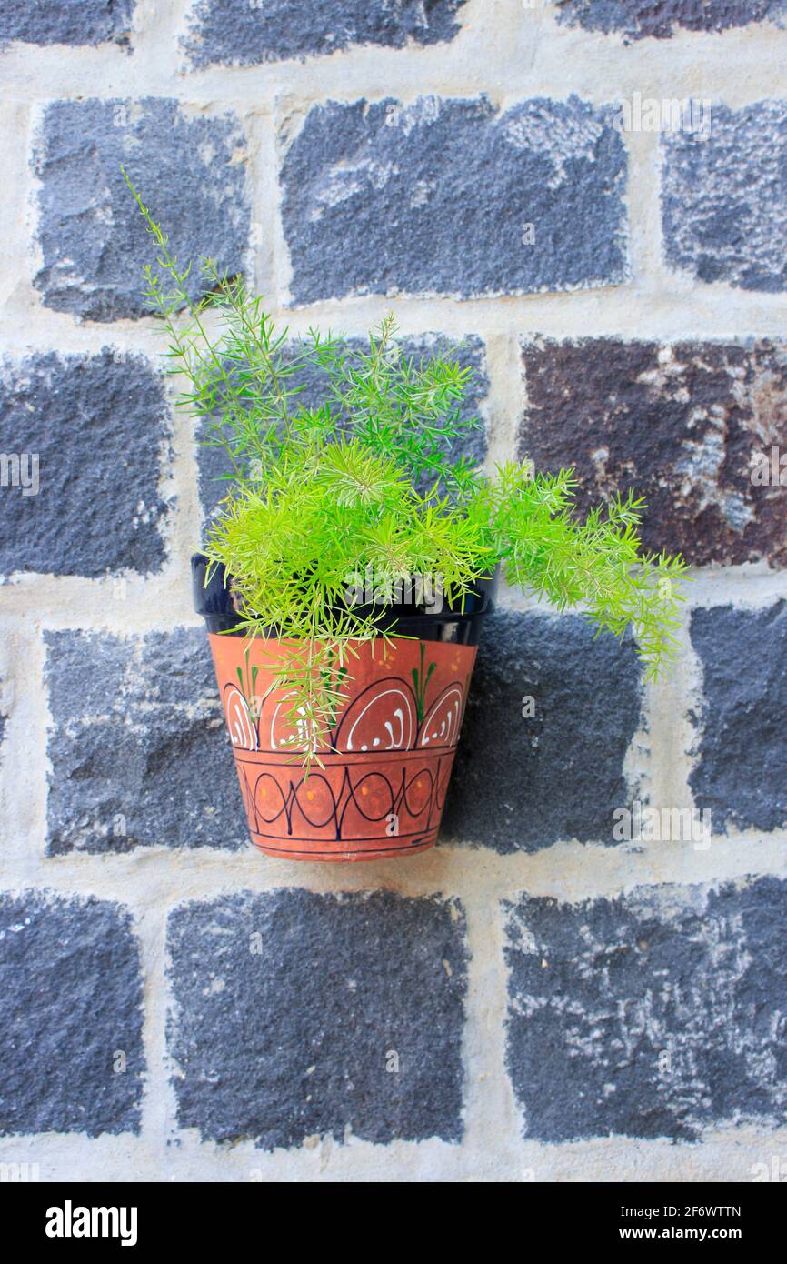 old wrick wall texture in historiocal city jeddah Stock Photo - Alamy