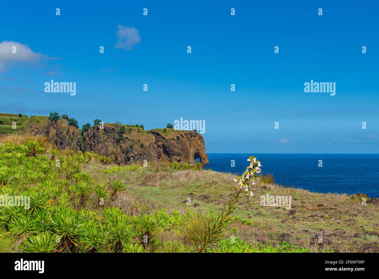 Atlantic azorean hi-res stock photography and images - Alamy