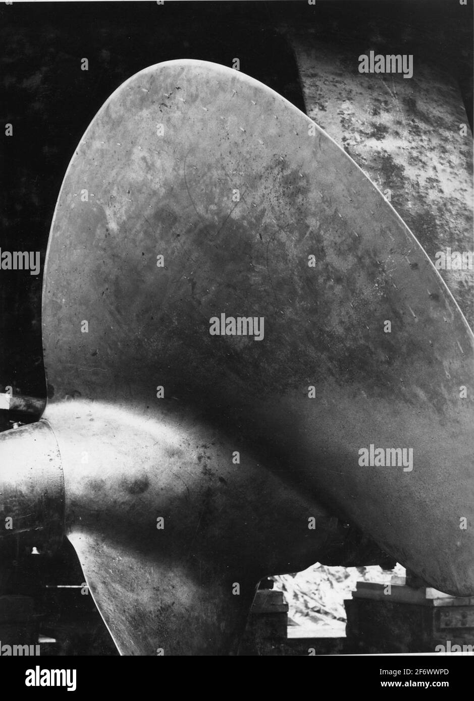 Second name Black and White Stock Photos & Images - Alamy