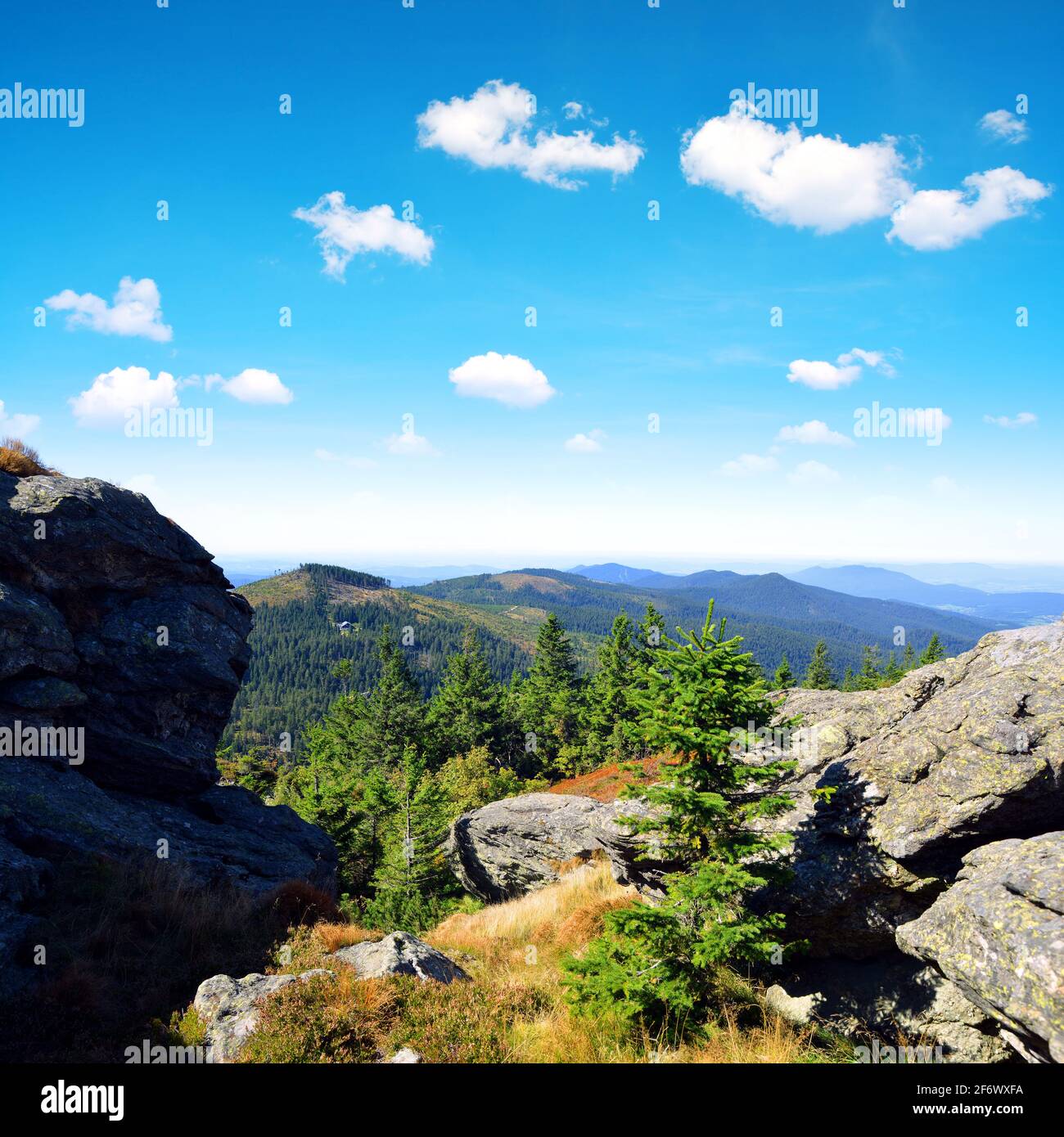 Landscape in the National park Bayerischer wald, view from the mountain ...
