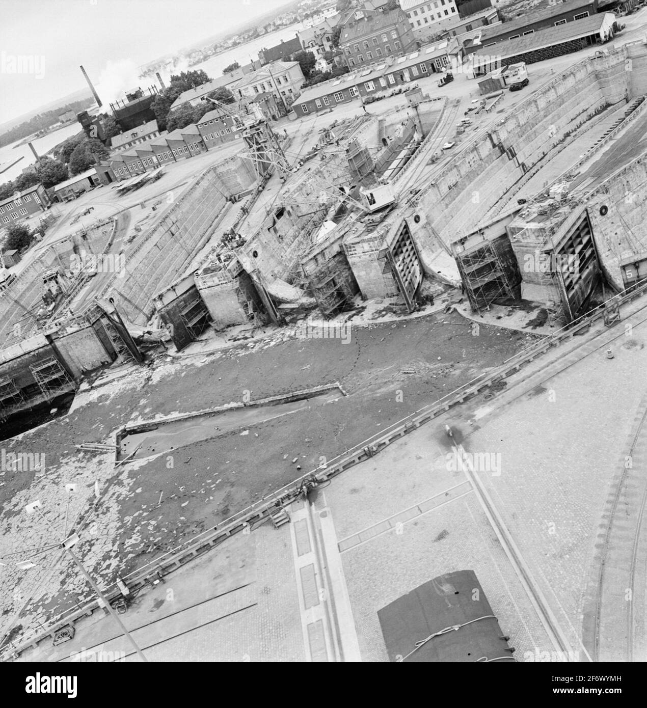 The five fingerdock (depicted name).The five fingerdock (depicted name ...