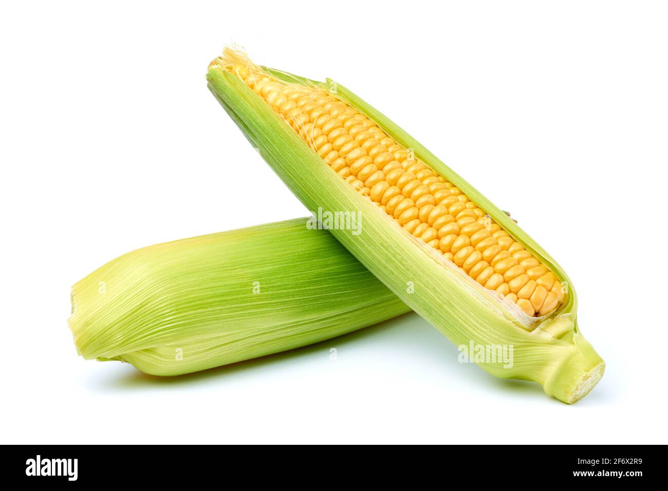 Fresh organic corn cob isolated on white background Stock Photo - Alamy