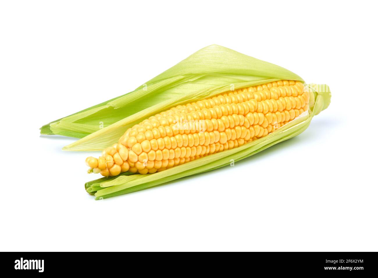 Fresh organic corn cob isolated on white background Stock Photo - Alamy