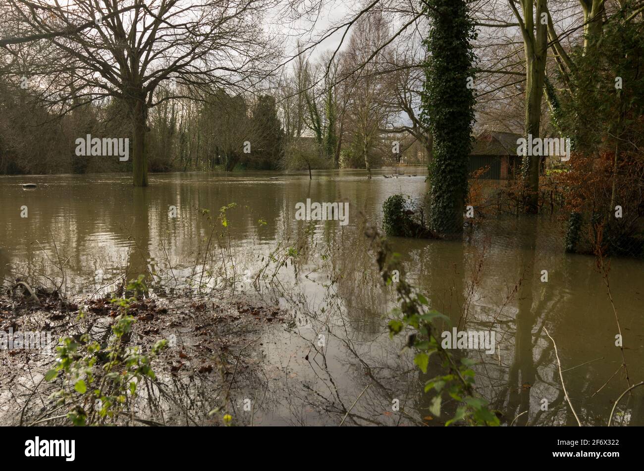 Lammas hi-res stock photography and images - Alamy