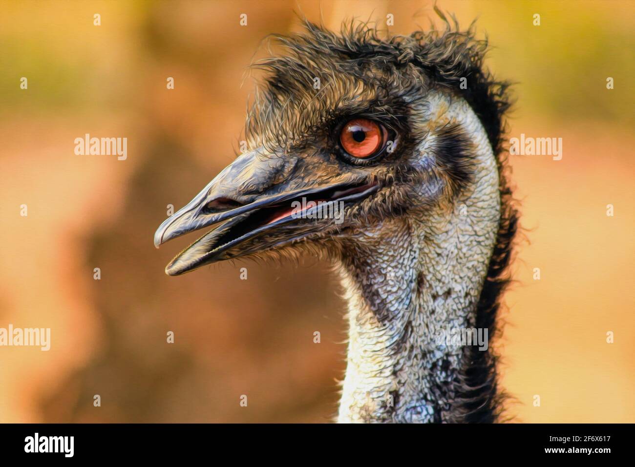 Flightless bird drawing vector hi-res stock photography and images - Alamy