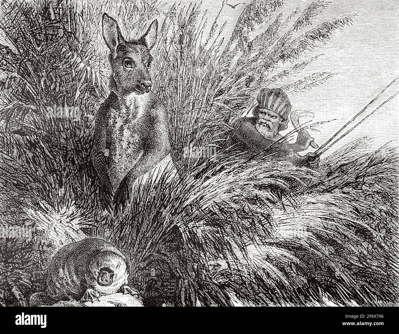 Old hunting australia hi-res stock photography and images - Alamy