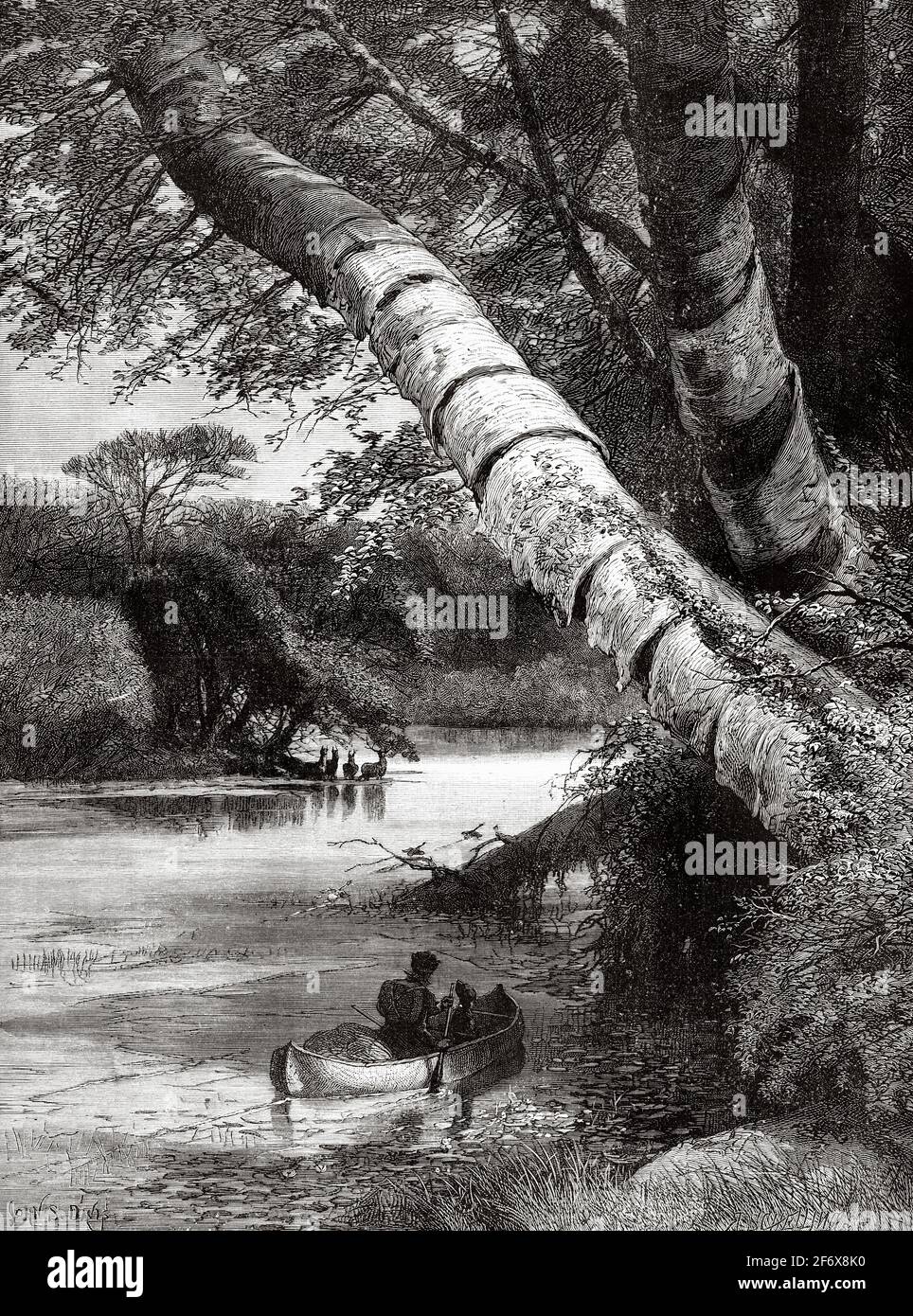 Explorer in a canoe on a river in the United States of America, North ...