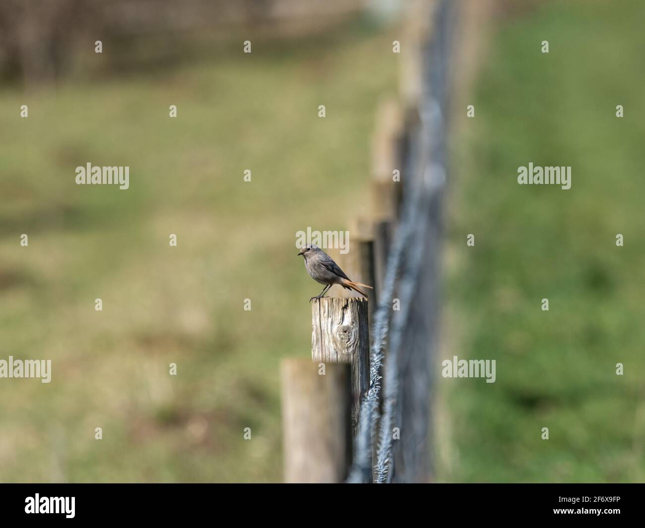Riddlesdown common hi-res stock photography and images - Alamy