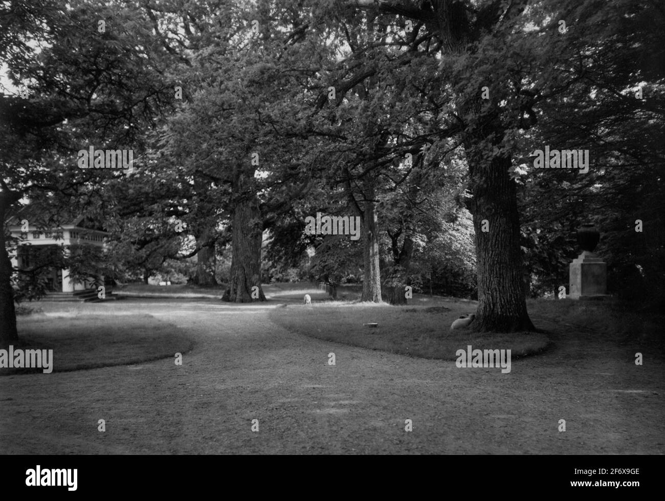 Sharp farm in Nättraby 1929 in Karlskrona.Sharp farm in Nättraby 1929 ...