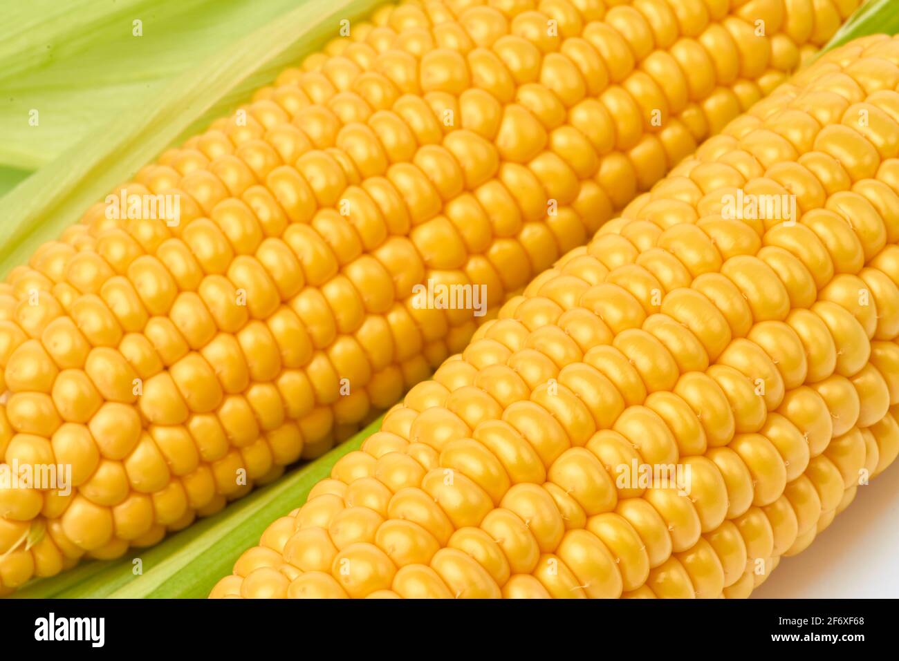 Fresh organic corn cob isolated on white background Stock Photo - Alamy