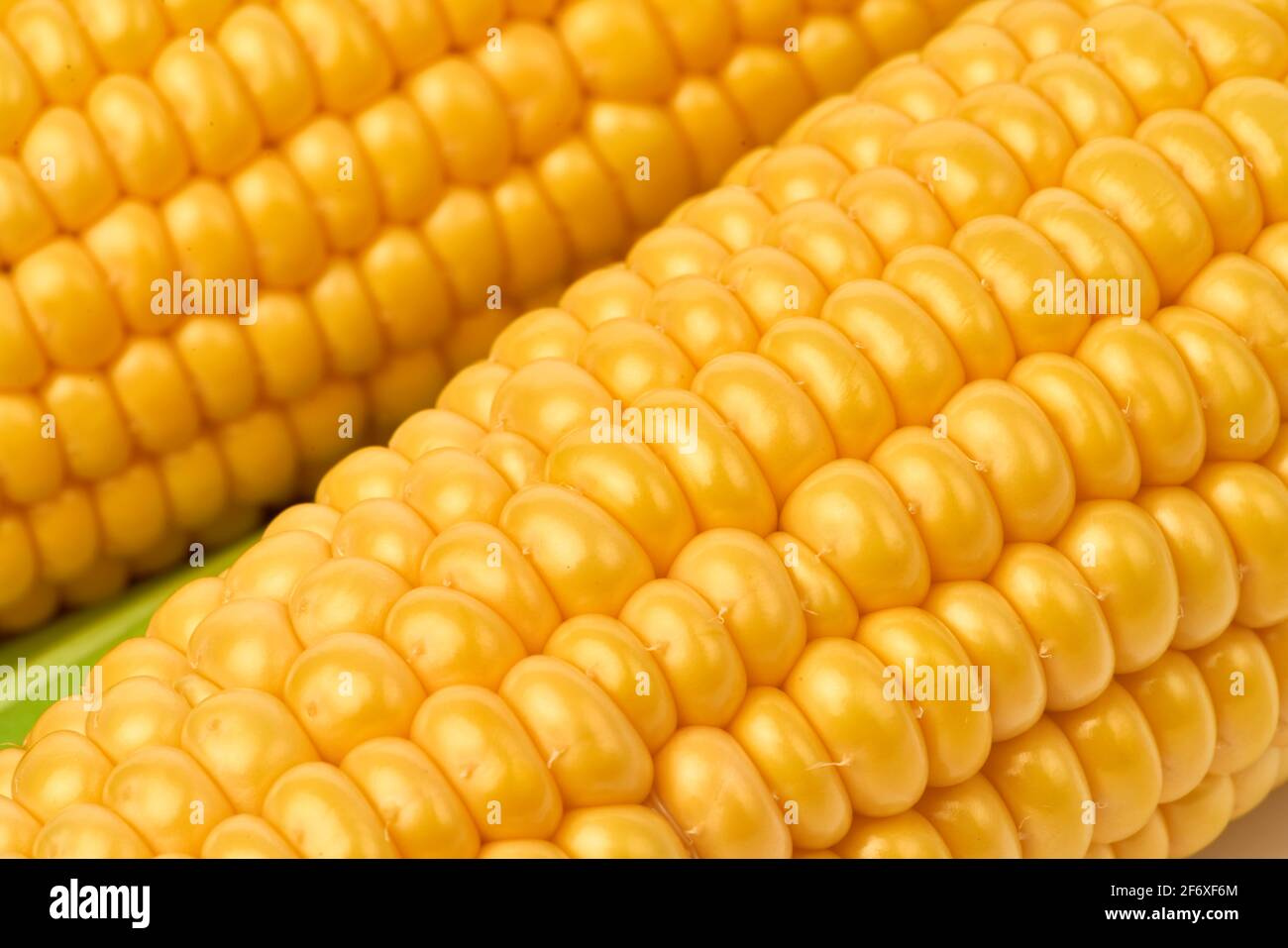 Fresh organic corn cob isolated on white background Stock Photo - Alamy