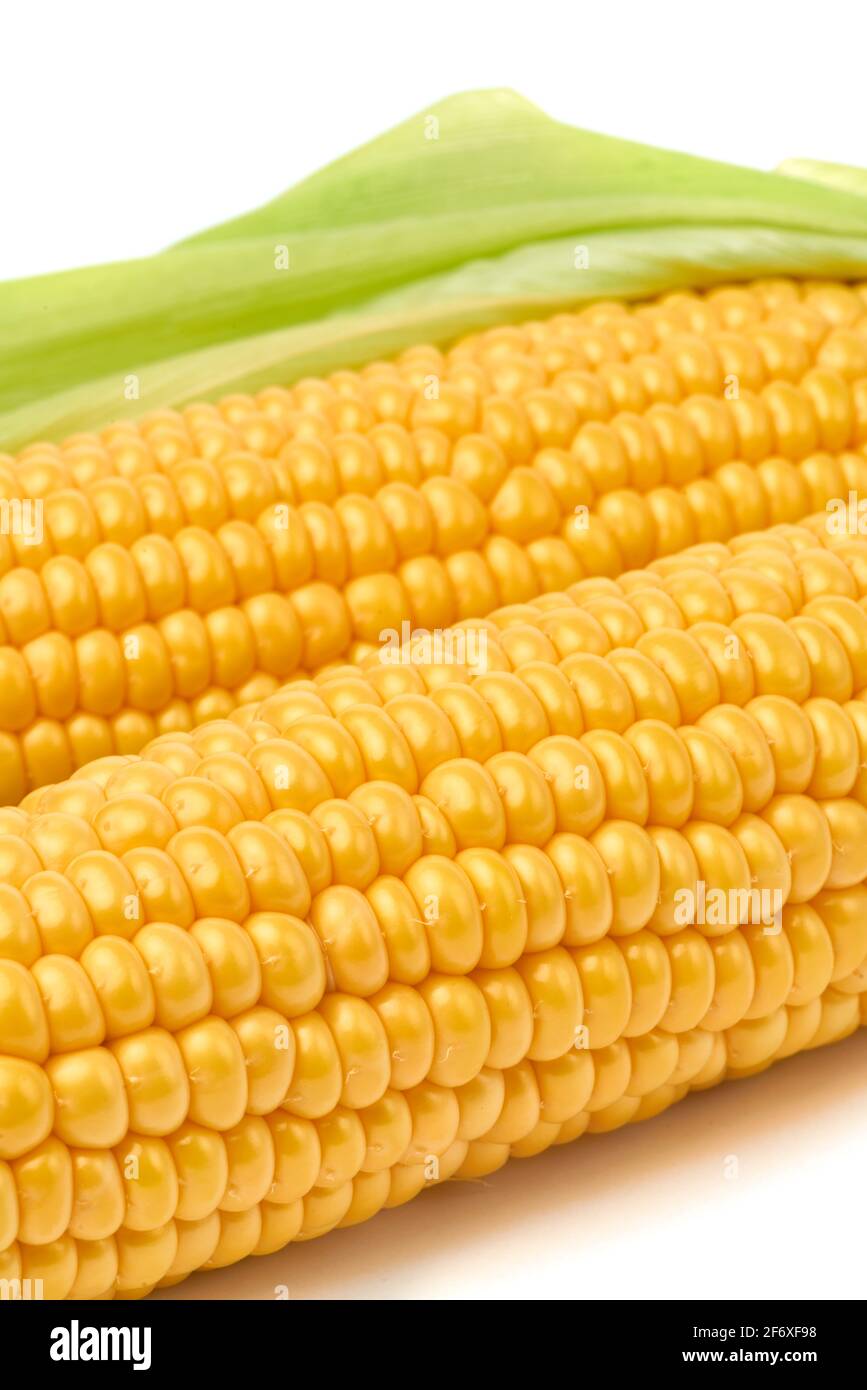 Fresh organic corn cob isolated on white background Stock Photo - Alamy